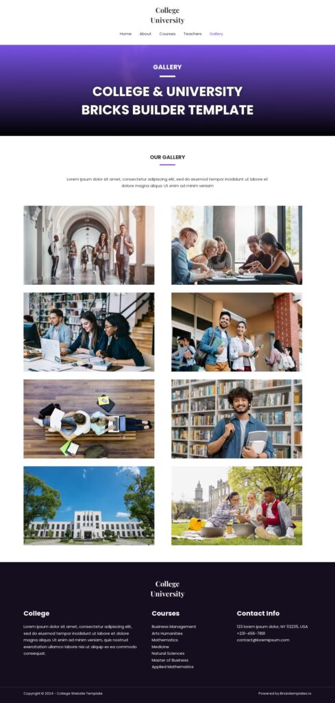 Gallery – College Website Template